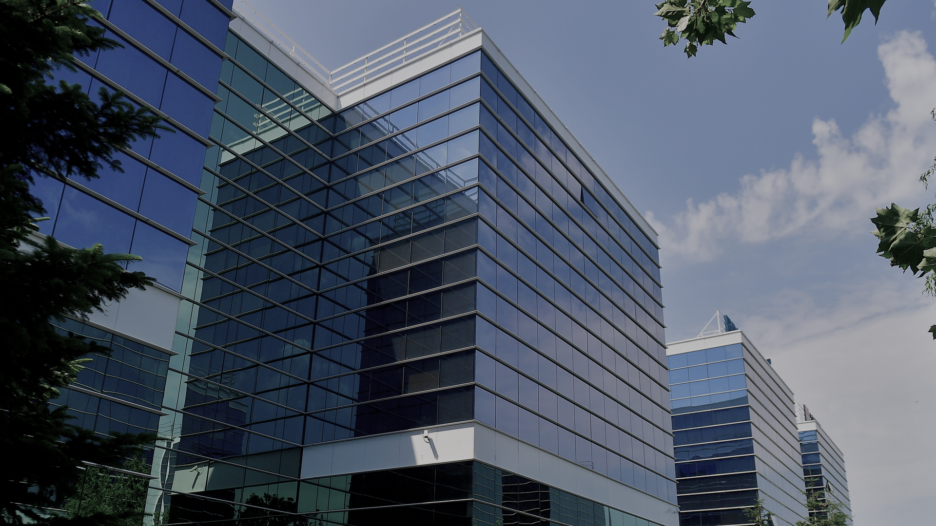 IMMUNE Building Standard™